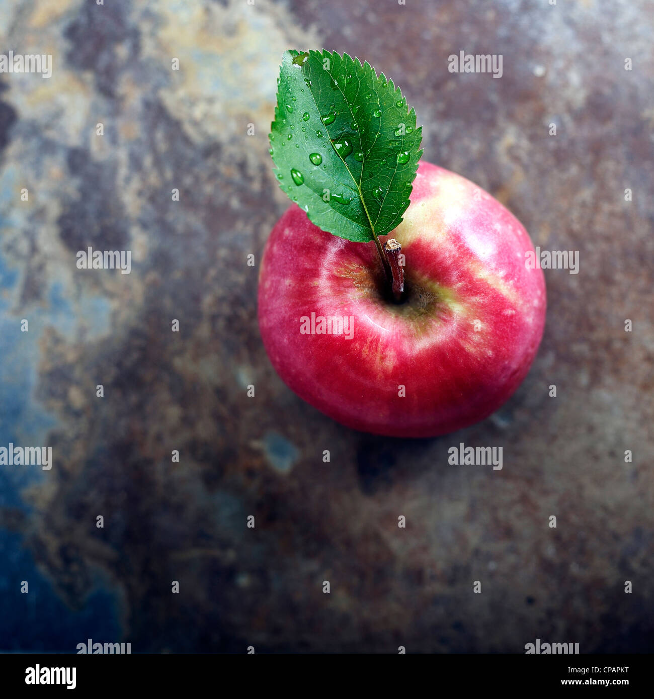 Pink lady apfel -Fotos und -Bildmaterial in hoher Auflösung – Alamy