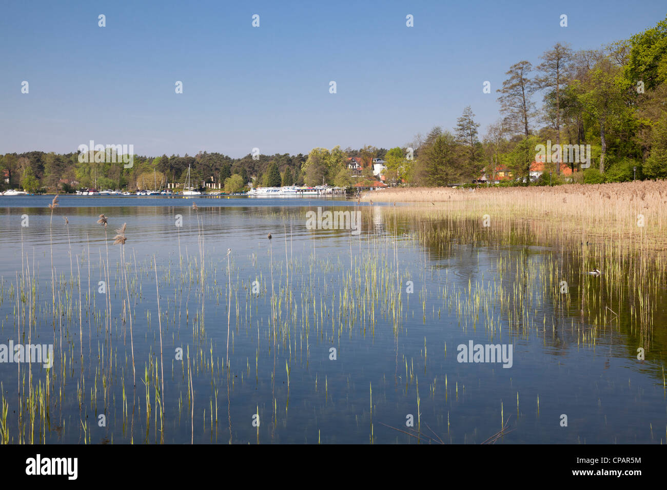 Bad saarow -Fotos und -Bildmaterial in hoher Auflösung – Alamy
