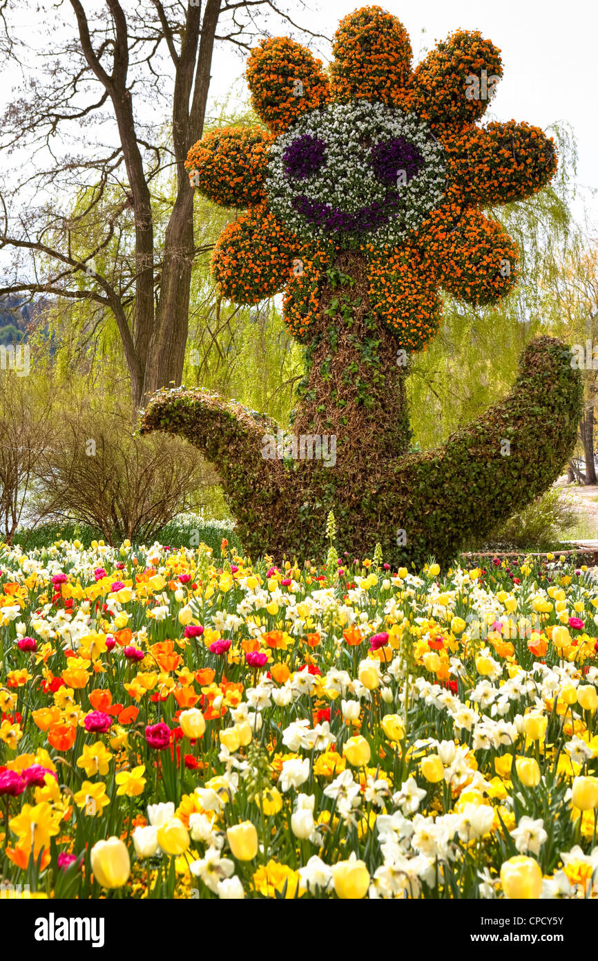 Flower Tulips Mainau Island Lake Stockfotos & Flower Tulips Mainau ...