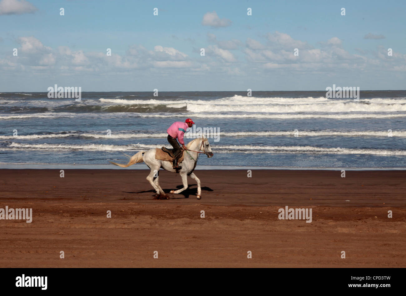 Reiter am Strand in der Nähe von Azemmour, Marokko, Nordafrika, Afrika Stockfotografie - Alamy