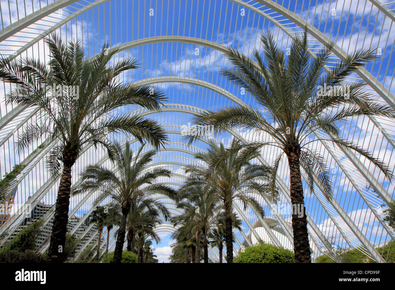 Umbracle, Stadt der Künste und Wissenschaften, Valencia, Spanien ...