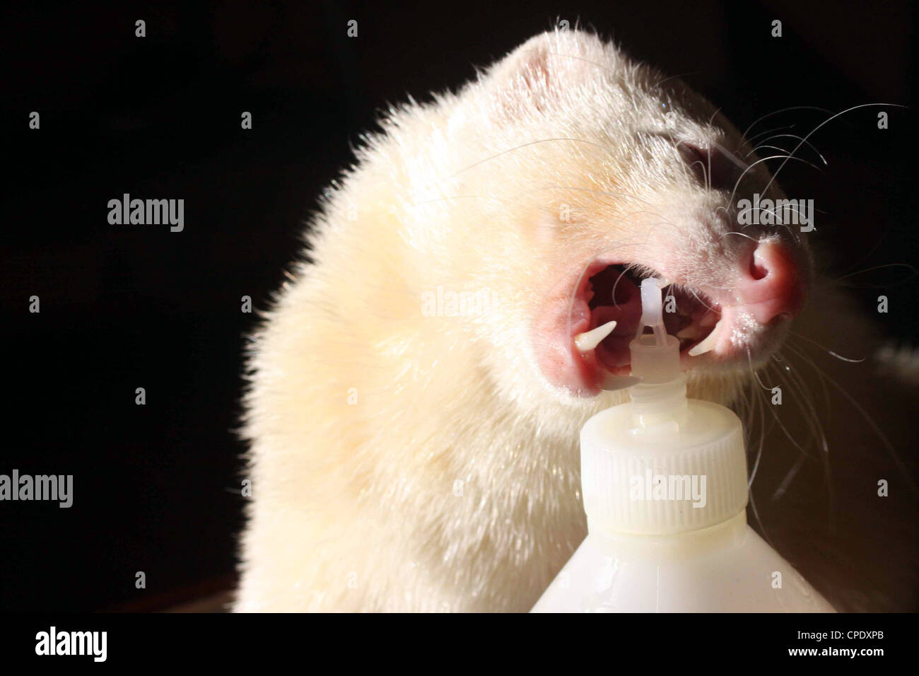 Unsicherer typ -Fotos und -Bildmaterial in hoher Auflösung – Alamy