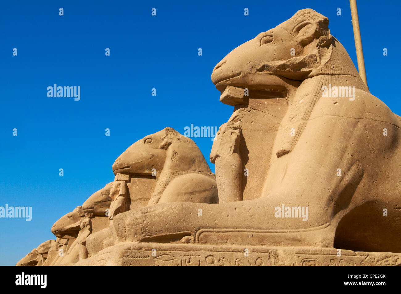 Sphinx At Karnak Temple Stockfotos und -bilder Kaufen - Alamy