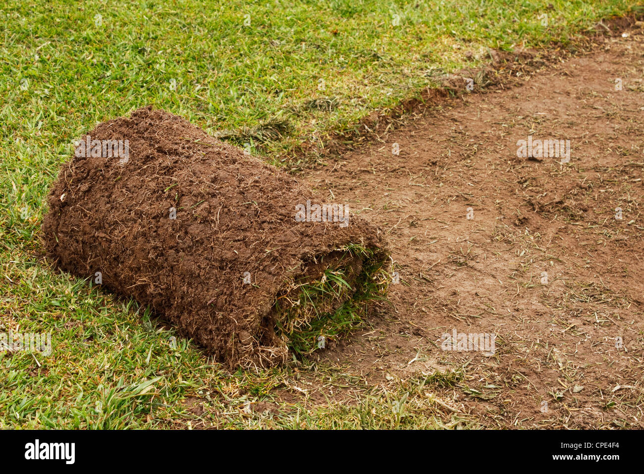 Rasen verlegt -Fotos und -Bildmaterial in hoher Auflösung – Alamy