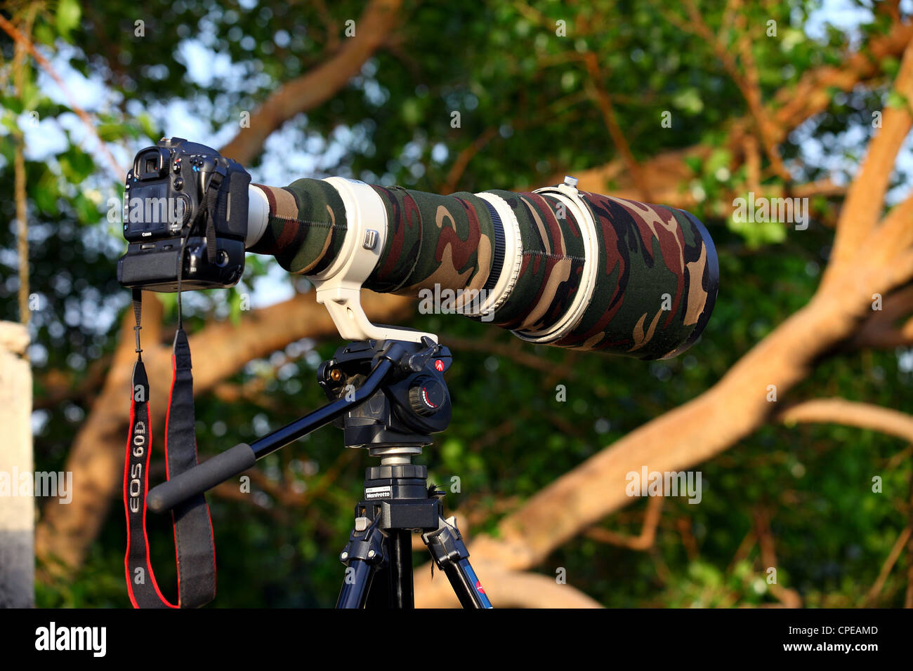 Canon kamera auf stativ -Fotos und -Bildmaterial in hoher Auflösung – Alamy