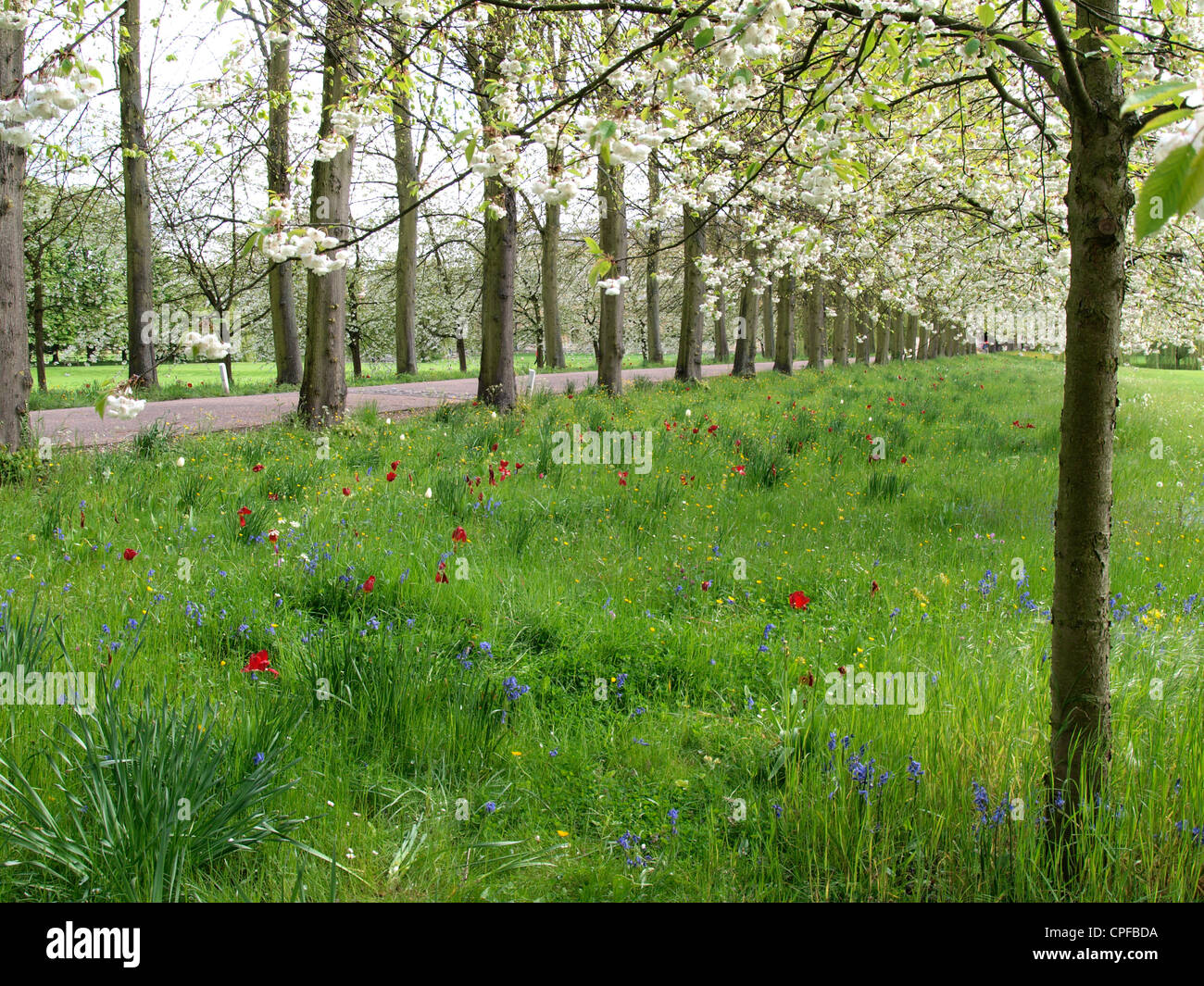 Malerische auffahrt -Fotos und -Bildmaterial in hoher Auflösung – Alamy