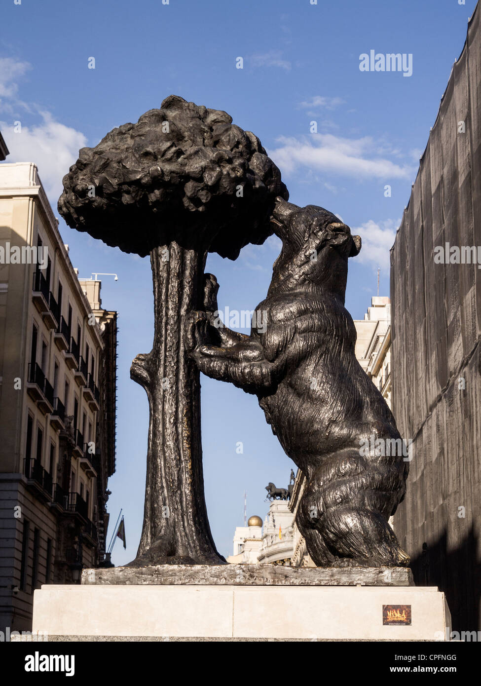 Oso y el madrono -Fotos und -Bildmaterial in hoher Auflösung – Alamy
