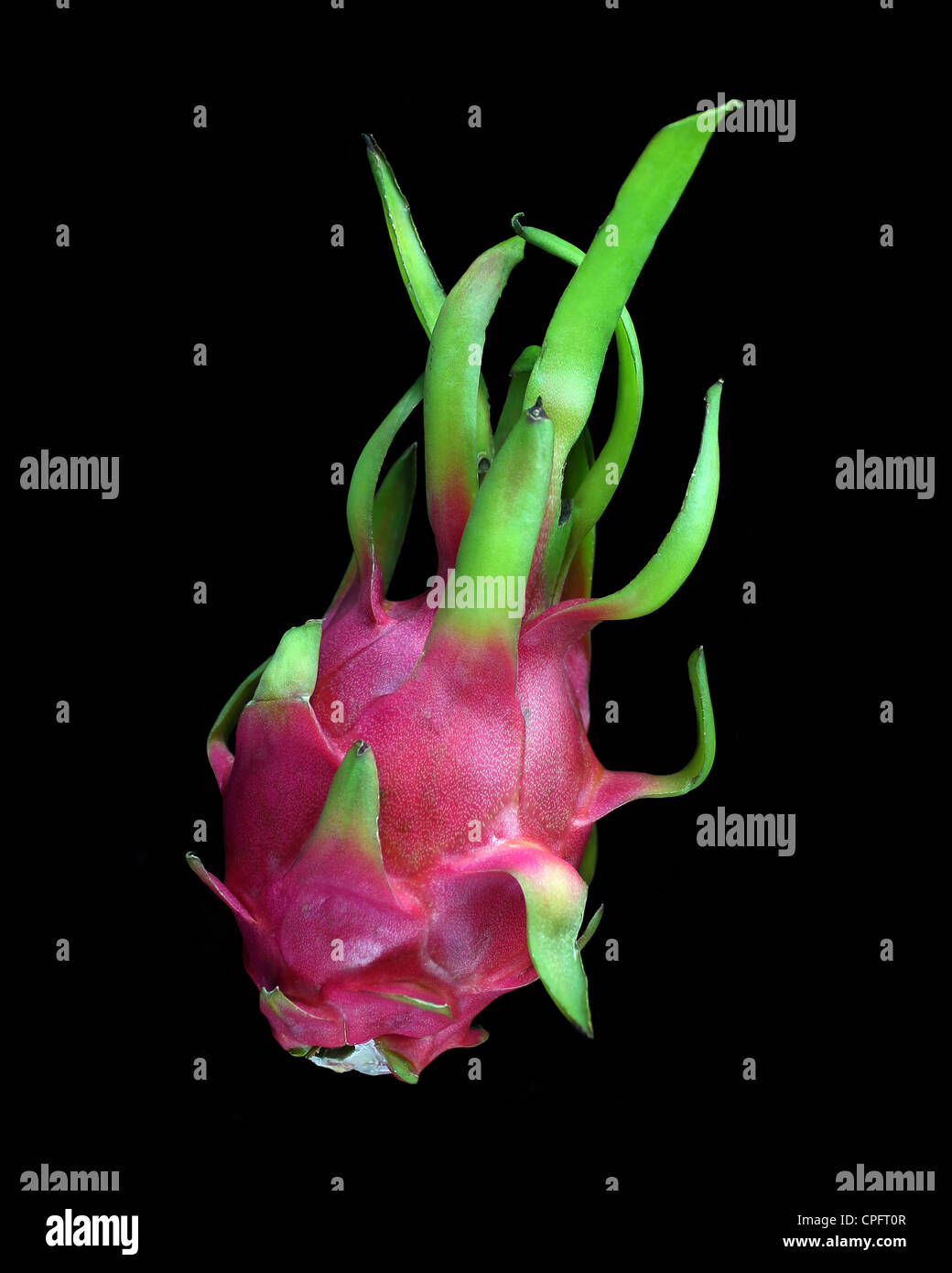 Buah lang lang -Fotos und -Bildmaterial in hoher Auflösung – Alamy