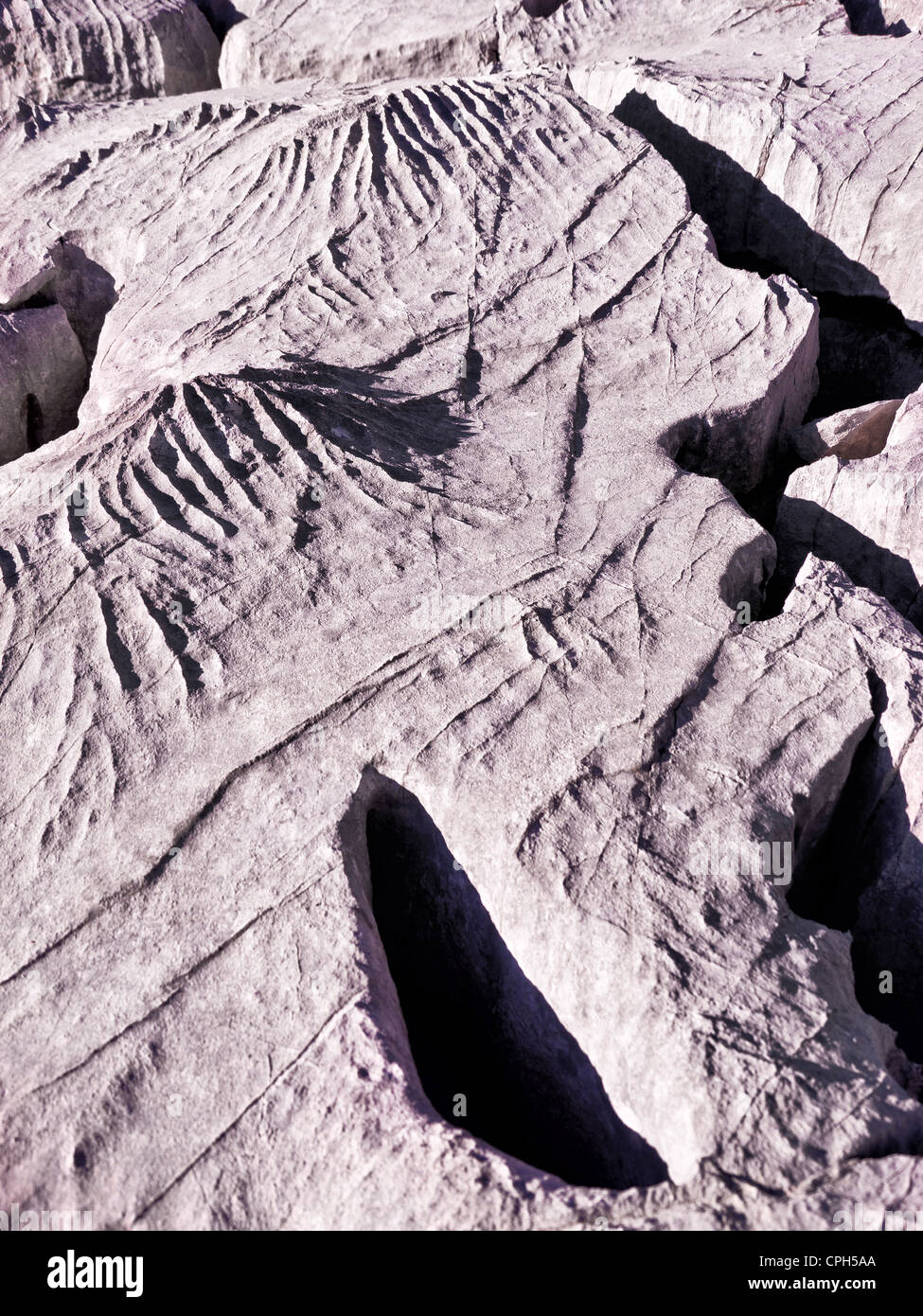 Alpen, Berner Alpen, Berner Oberland, Stein, Kalkstein, Kalkalpen ...