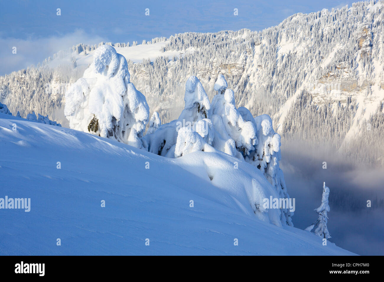 Alpen, Alpen-Panorama, Blick, Baum, Berg, Berge, Berg, Bergpanorama ...