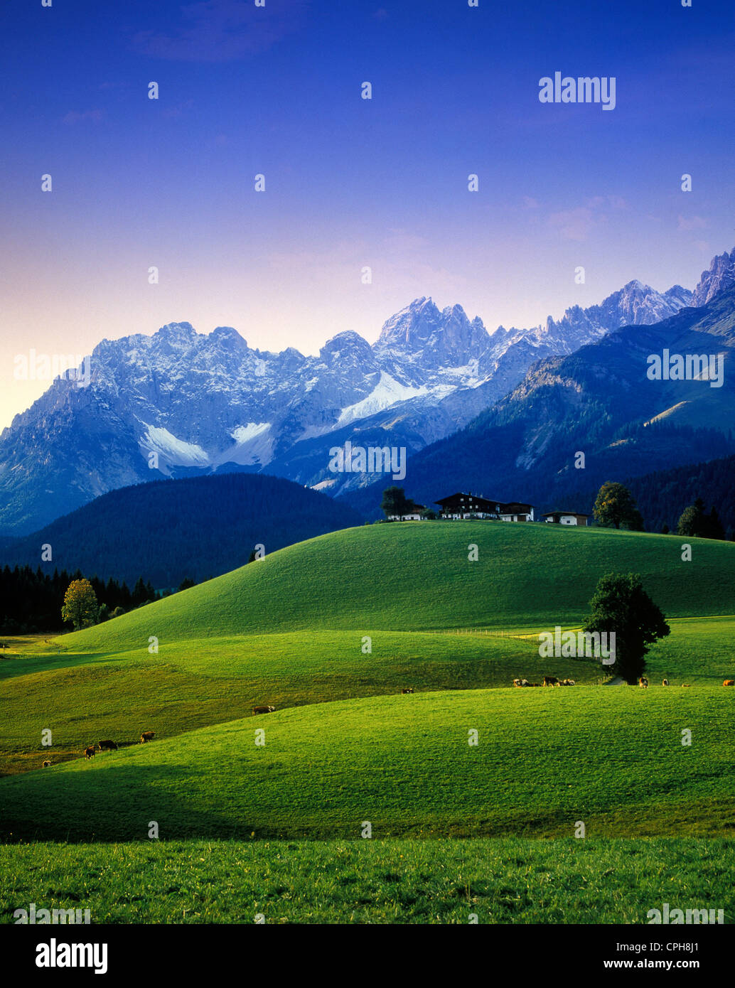 Österreich, Europa, Tirol, Kitzbühel, Bauernhof, Wilder Kaiser, Gebirge ...