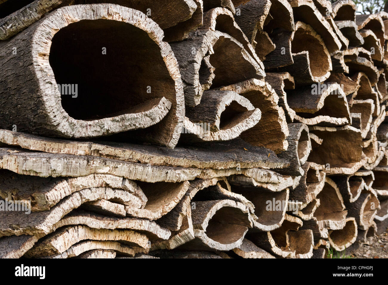 Cork bark -Fotos und -Bildmaterial in hoher Auflösung – Alamy