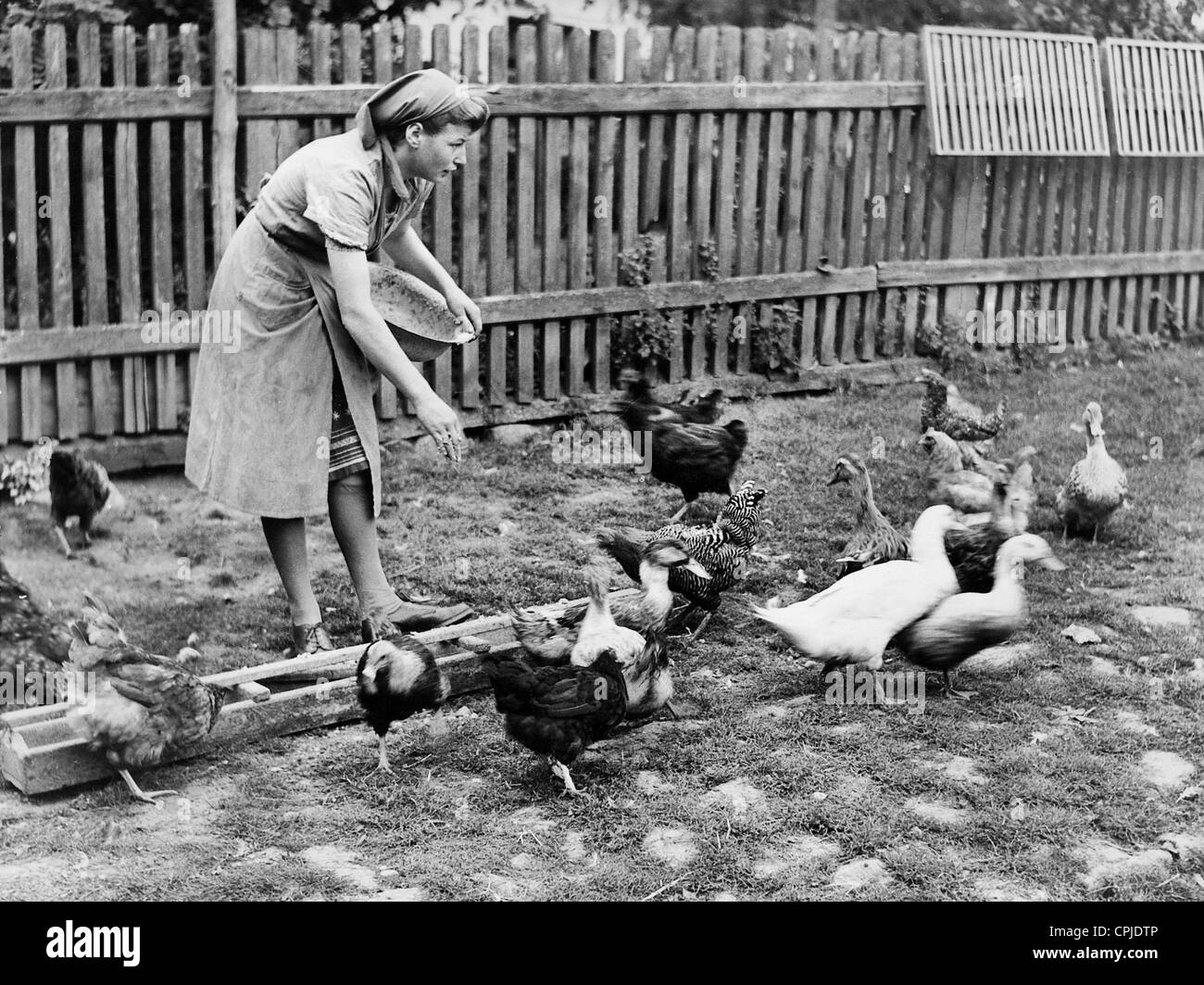 Hitlerjugend lager -Fotos und -Bildmaterial in hoher Auflösung - Seite ...