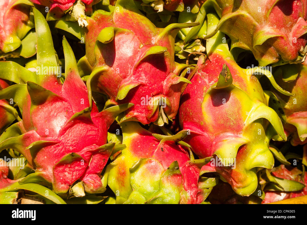Chinese dragon fruit pitahaya -Fotos und -Bildmaterial in hoher ...