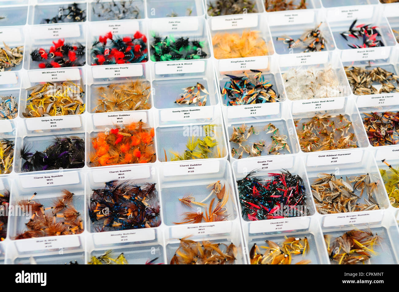 Fisch und wild angeln -Fotos und -Bildmaterial in hoher Auflösung – Alamy