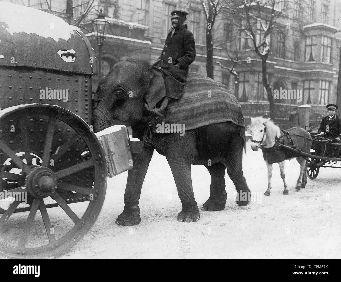 Elefanten als Lasttiere im ersten Weltkrieg, 1917 Stockfotografie - Alamy
