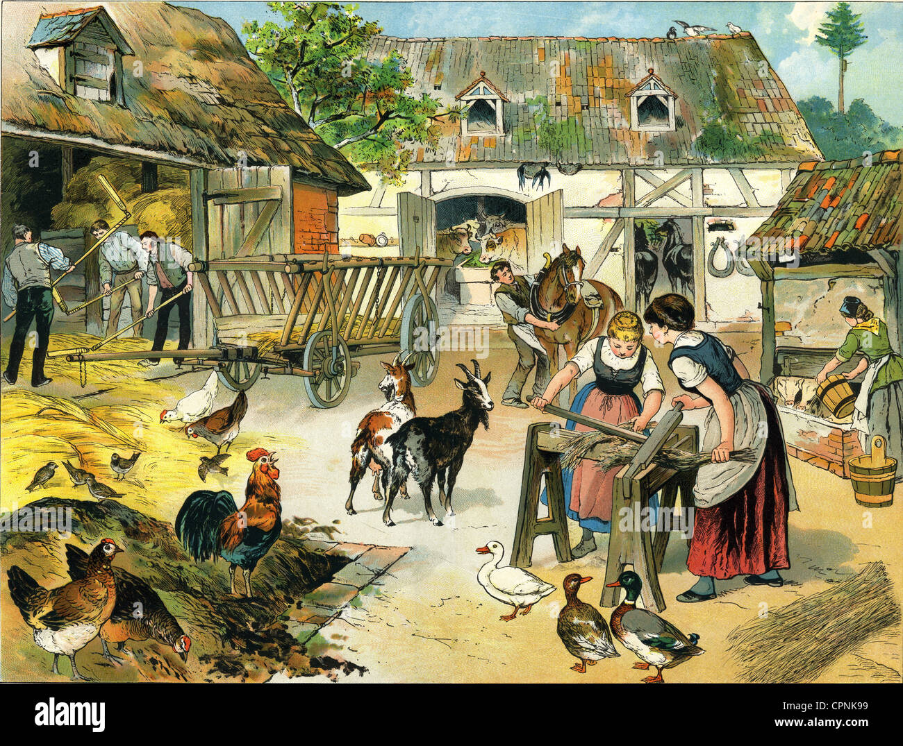 Bauernhof hoftiere -Fotos und -Bildmaterial in hoher Auflösung – Alamy