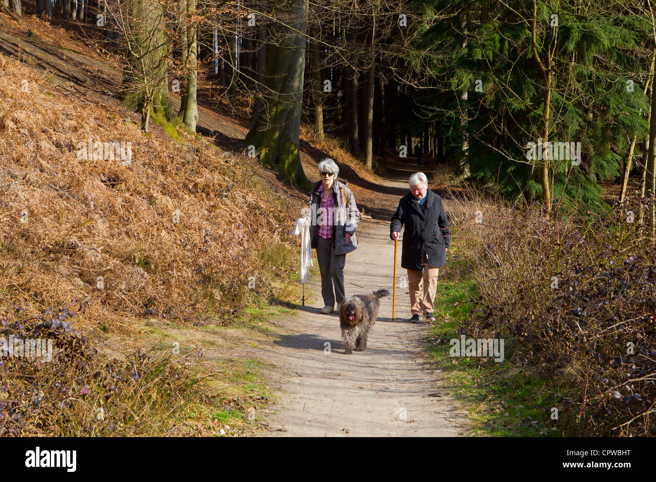 Alte damen -Fotos und -Bildmaterial in hoher Auflösung – Alamy