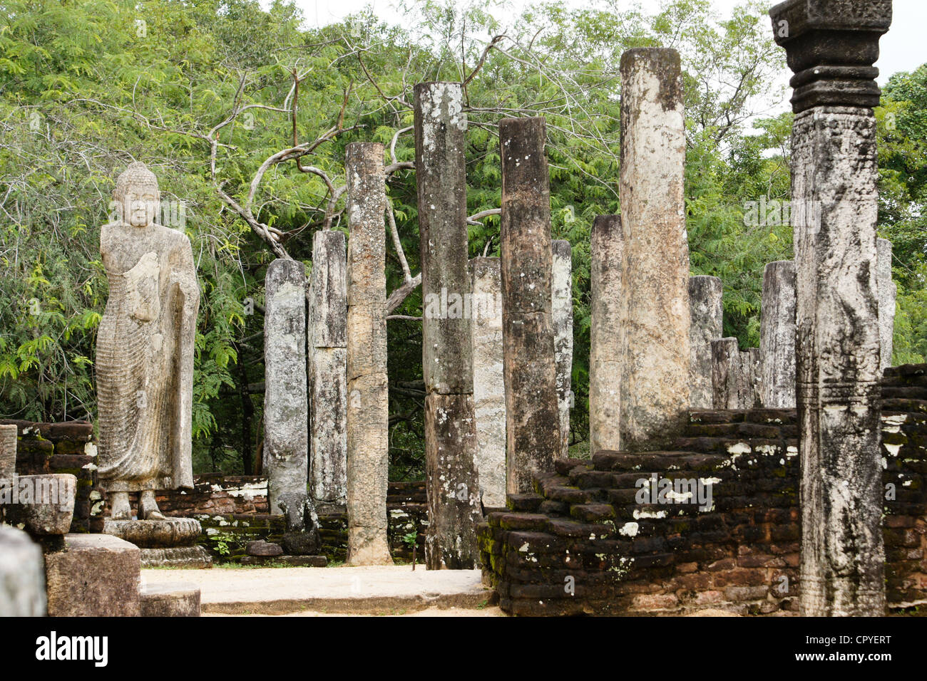 Ruinen des Hatadage-Tempels in Dalada Maluva Viereck, Polonnaruwa, Sri ...