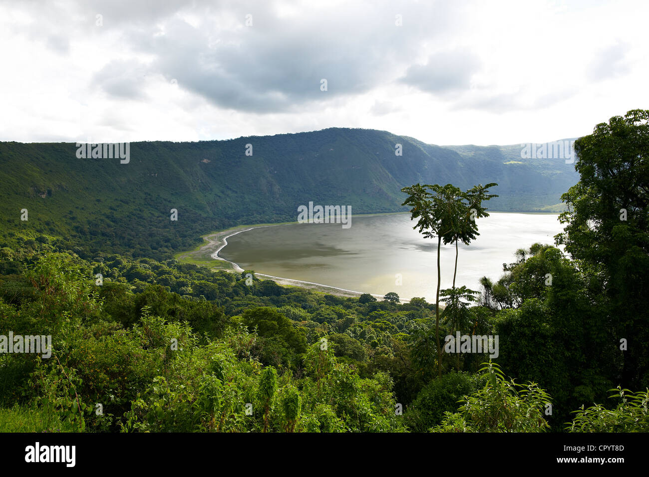 Embakai Crater, Vulkan, Ngorongoro Conservation Area, Tansania, Afrika ...