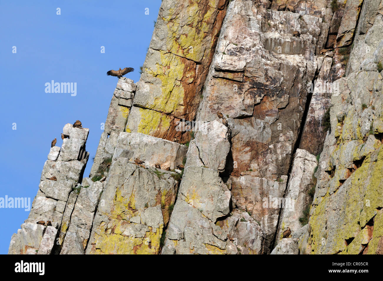 Felsen in spanien -Fotos und -Bildmaterial in hoher Auflösung – Alamy