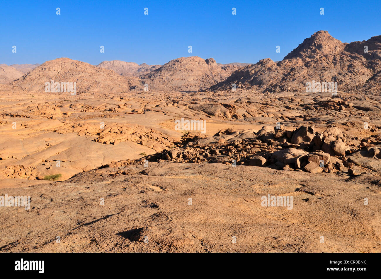 The hoggar mountains ahaggar algeria -Fotos und -Bildmaterial in hoher ...