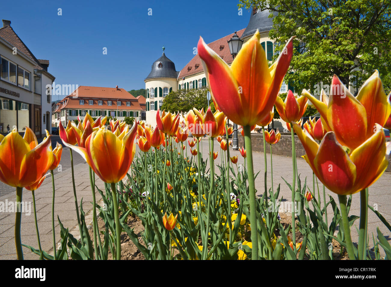 Wein Züchten Stockfotos und -bilder Kaufen - Alamy