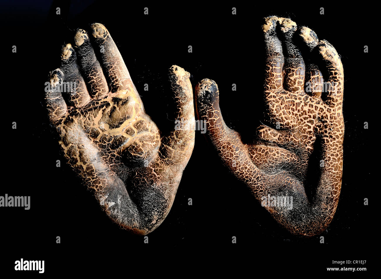 Chimpanzee human hand -Fotos und -Bildmaterial in hoher Auflösung – Alamy
