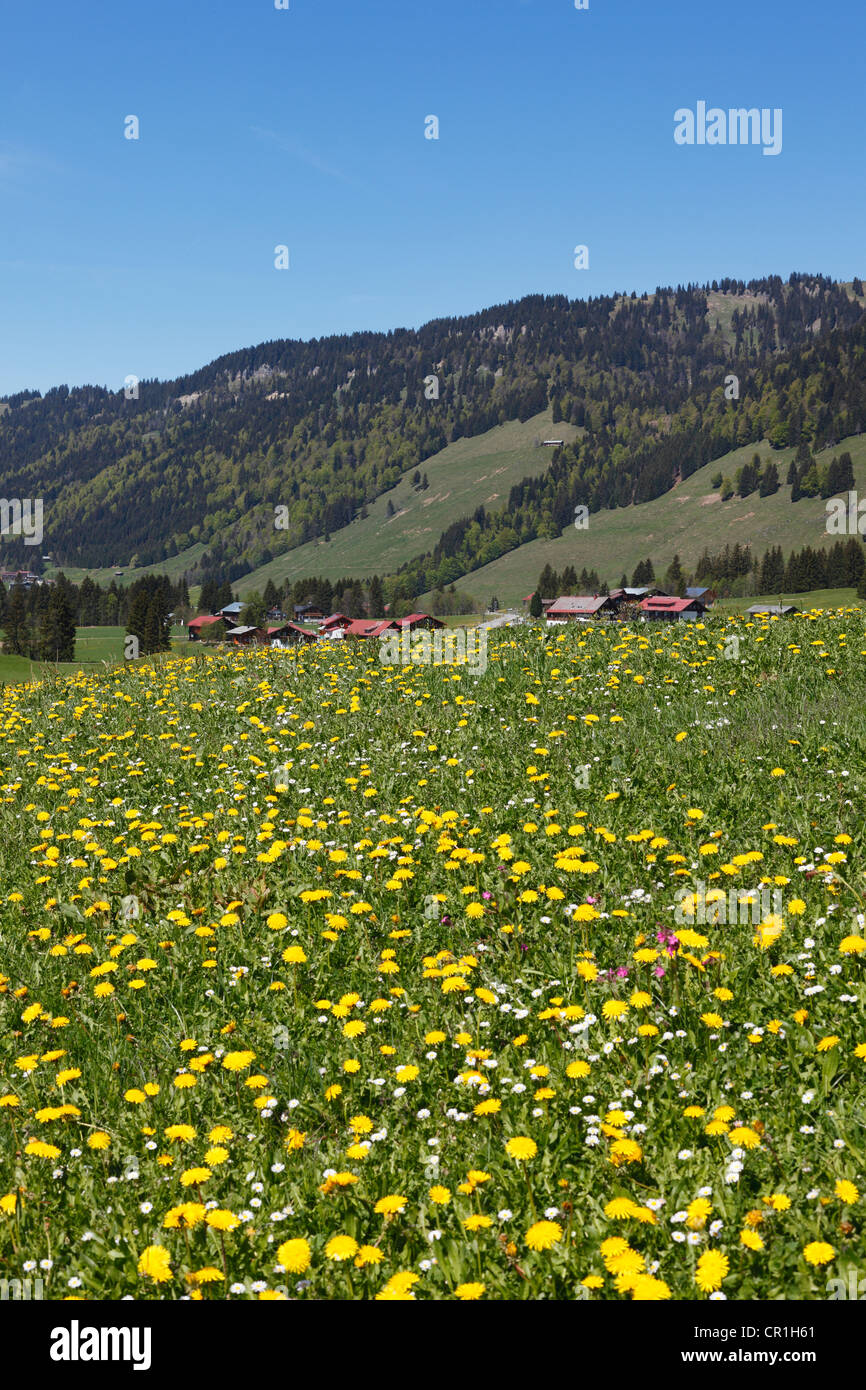 Balderschwang Dorf, obere Allgäu, Allgäu, Schwaben, Bayern, Deutschland ...