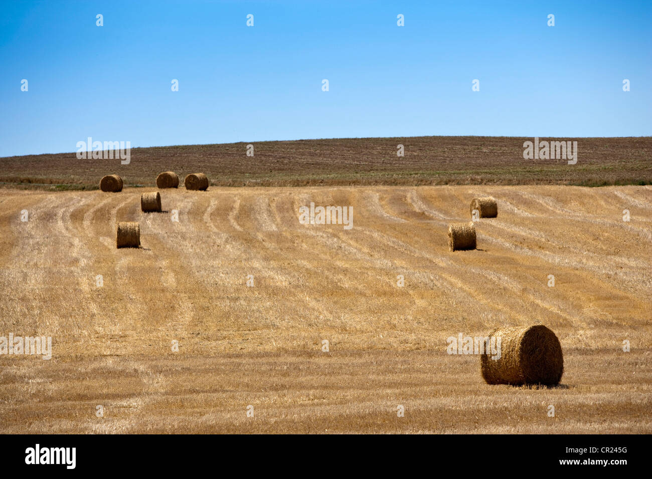 Heuballen im ländlichen Ernte Feld Stockfotografie - Alamy