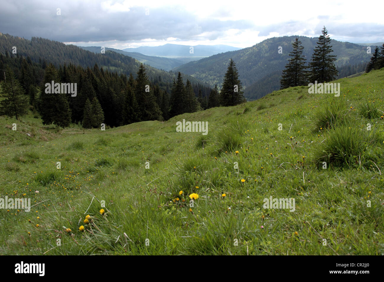 Borgo Pass Stockfotos und -bilder Kaufen - Alamy