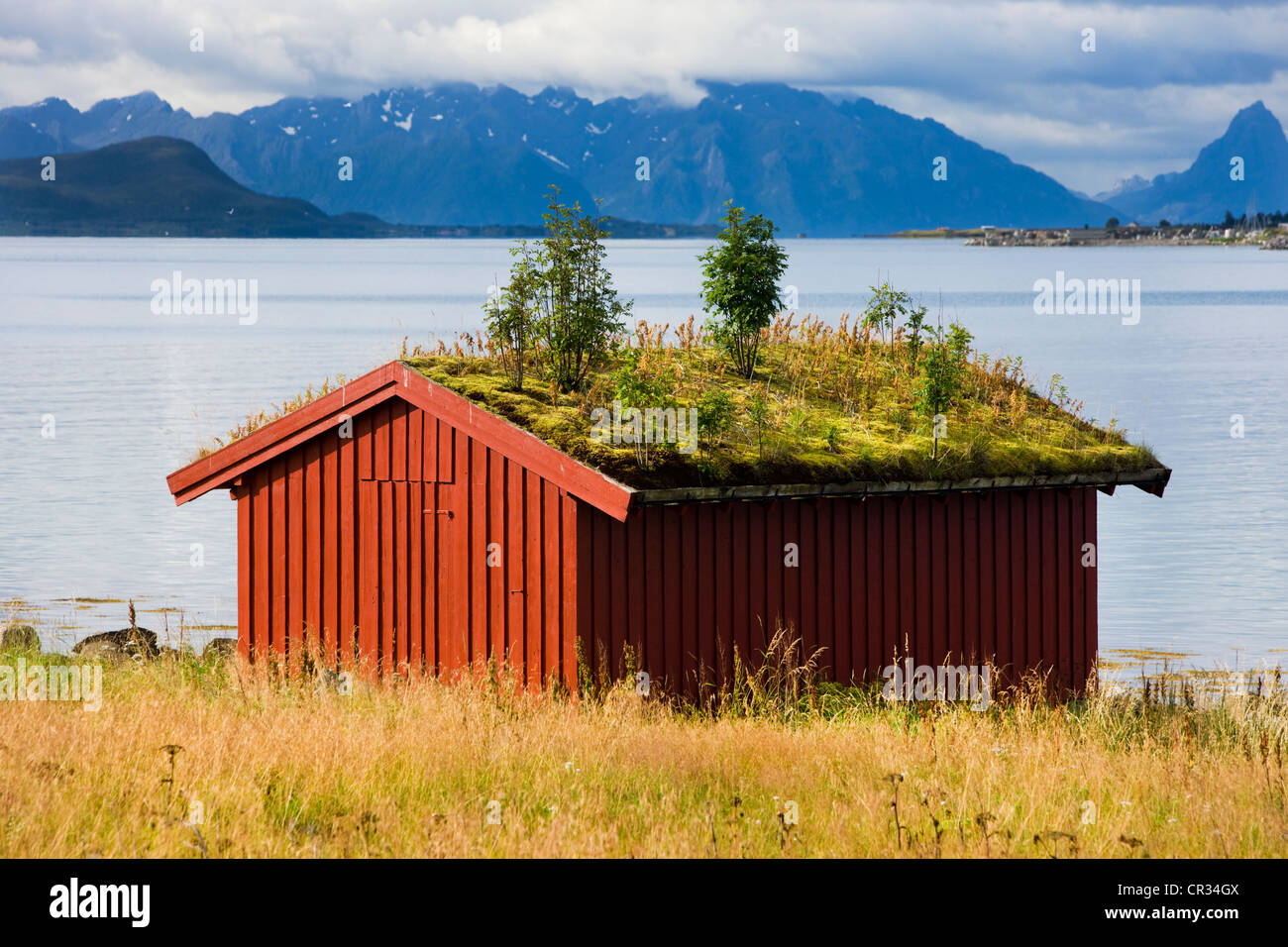 Langoya norwegen -Fotos und -Bildmaterial in hoher Auflösung – Alamy