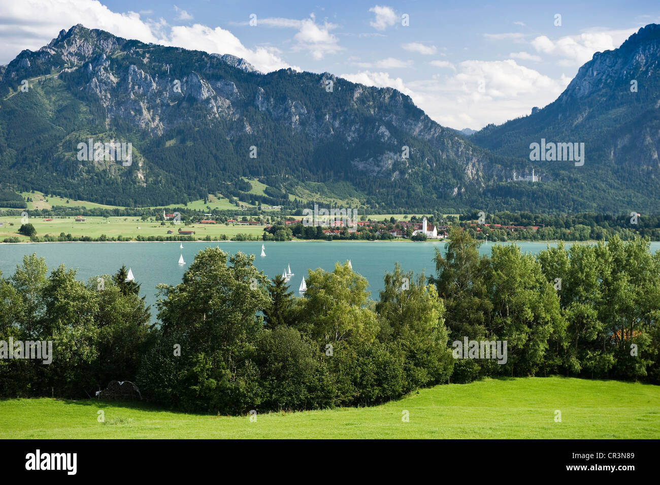 Forggensee See, Schloss Neuschwanstein Castle am Rücken, Füssen, Allgäu ...