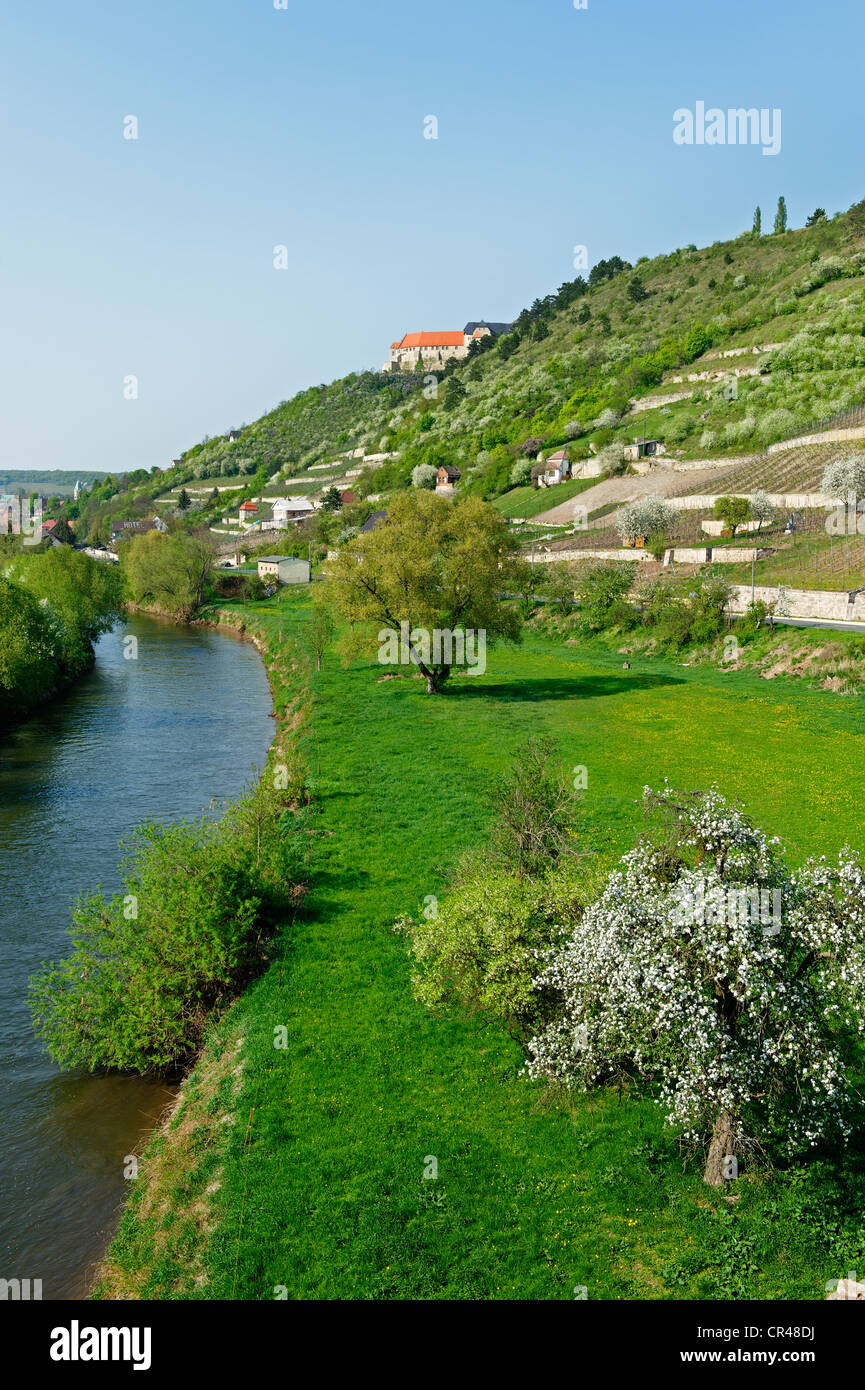 Weinbaugebiet in der saale unstrut region -Fotos und -Bildmaterial in ...