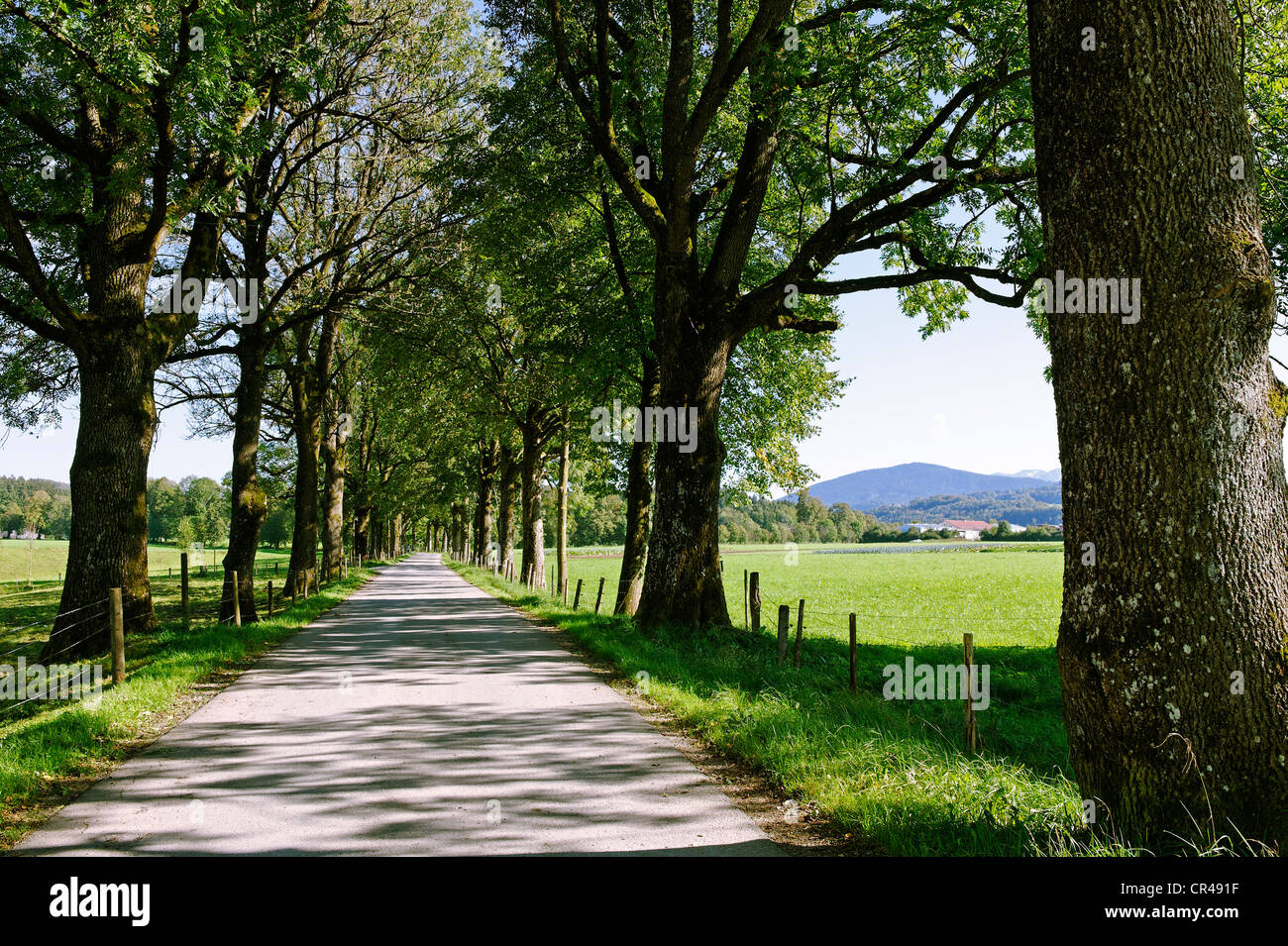 Schloss wallenburg -Fotos und -Bildmaterial in hoher Auflösung – Alamy