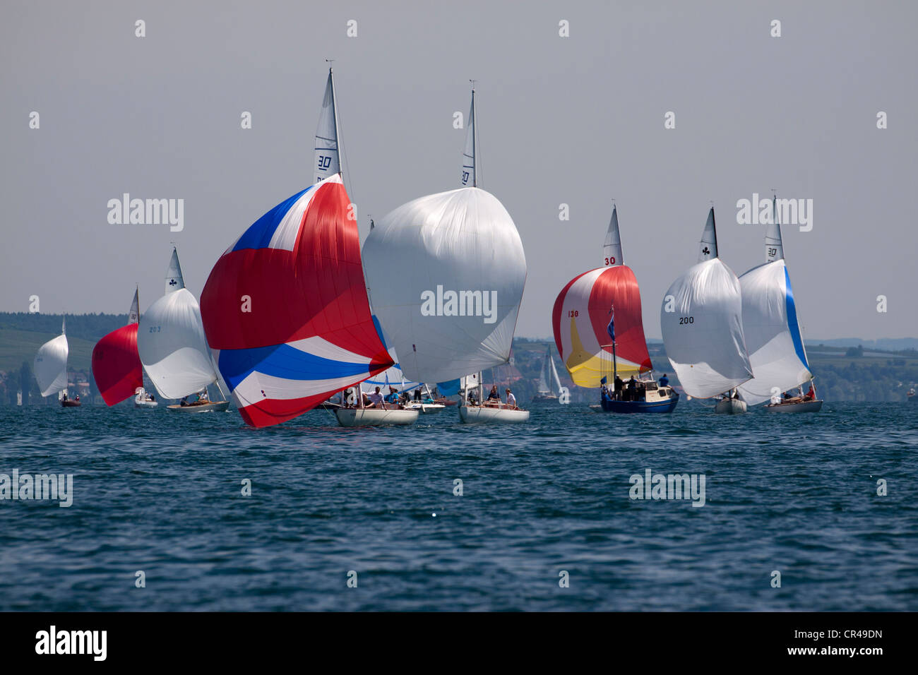 Bodensee regatta -Fotos und -Bildmaterial in hoher Auflösung – Alamy