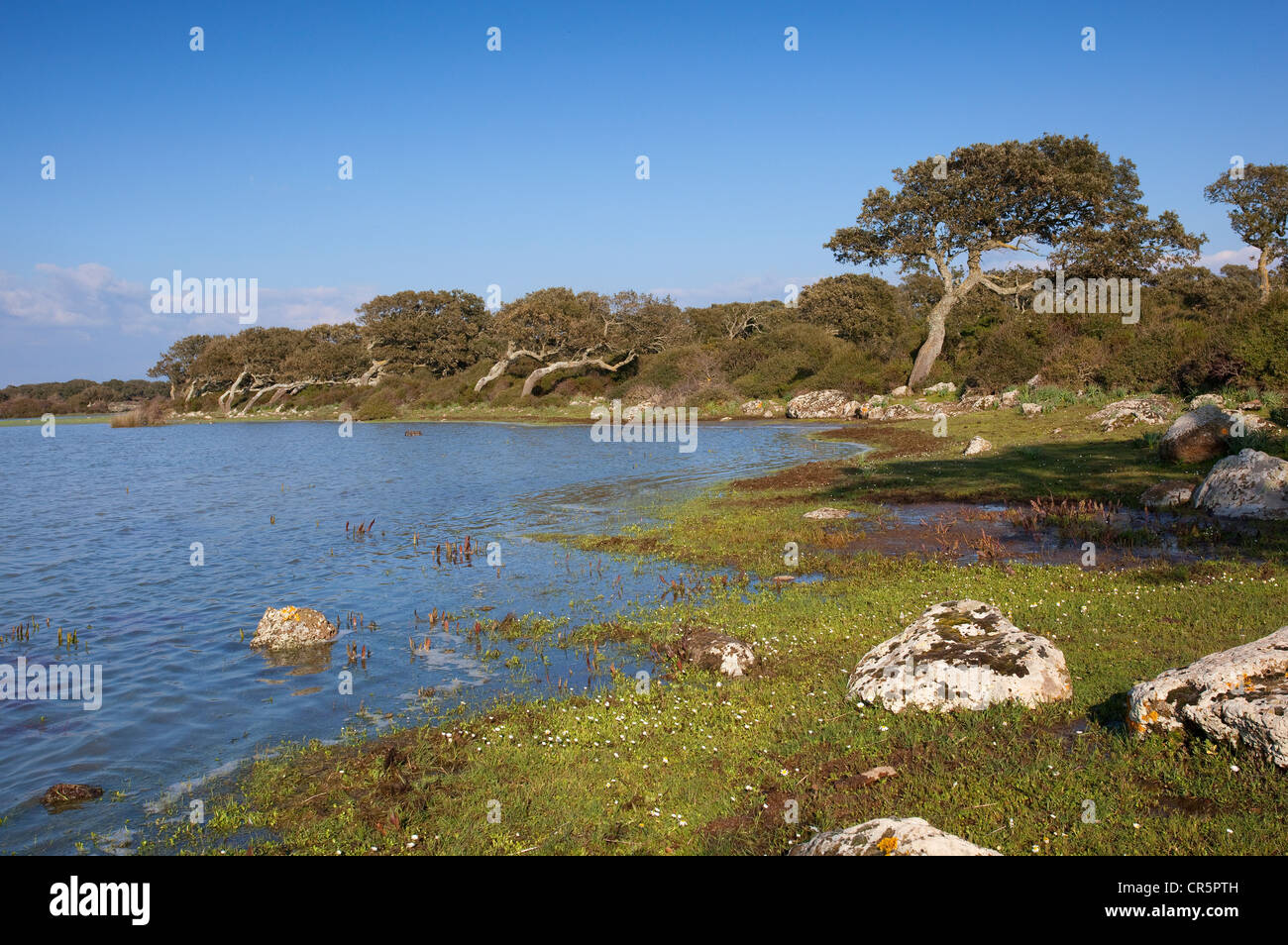 Giara di Gesturi Plateau, Pauli Majori, Sardinien Insel, Italien ...