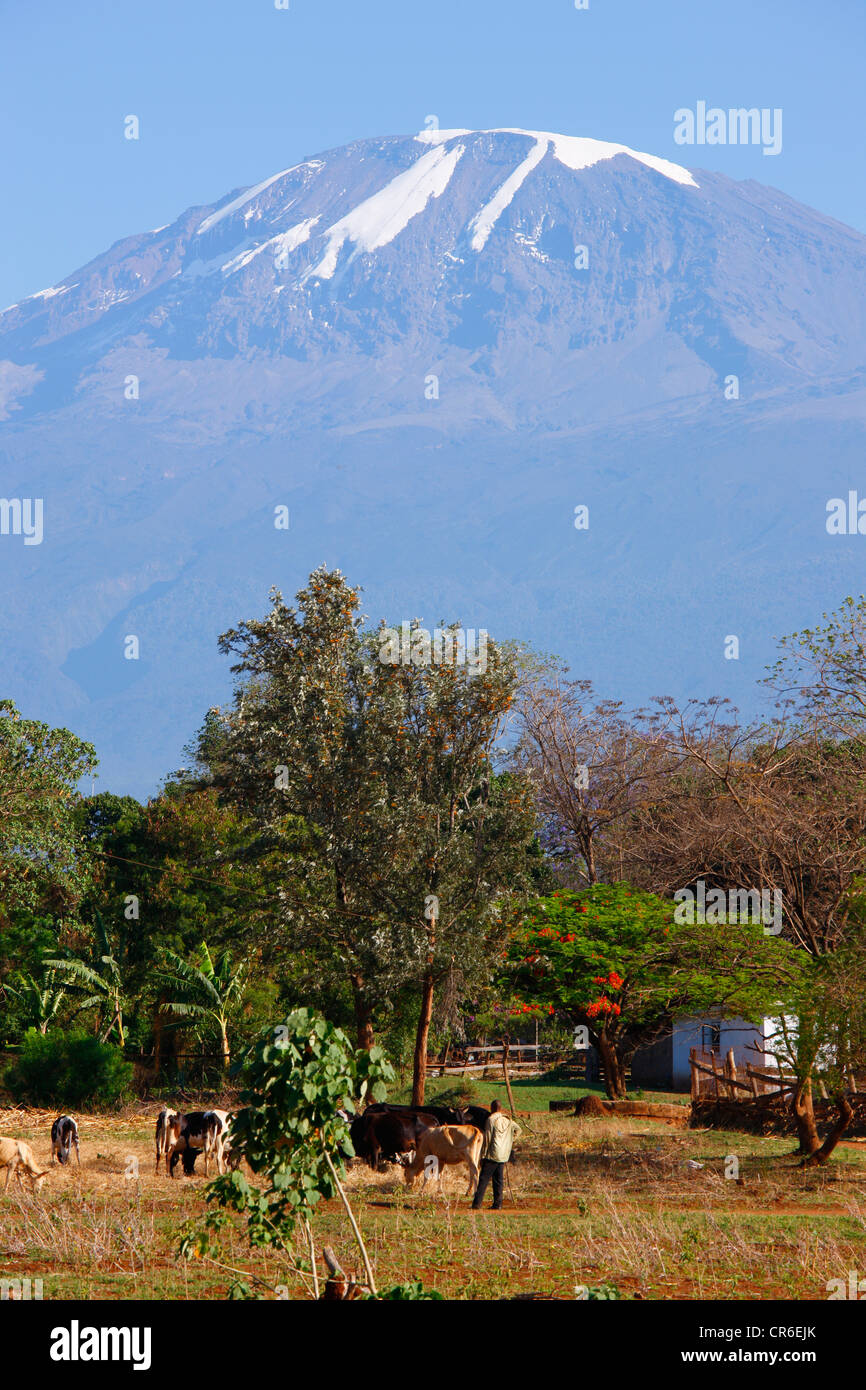 Mount Kilimanjaro, Moshi, Tansania, Afrika Stockfotografie - Alamy