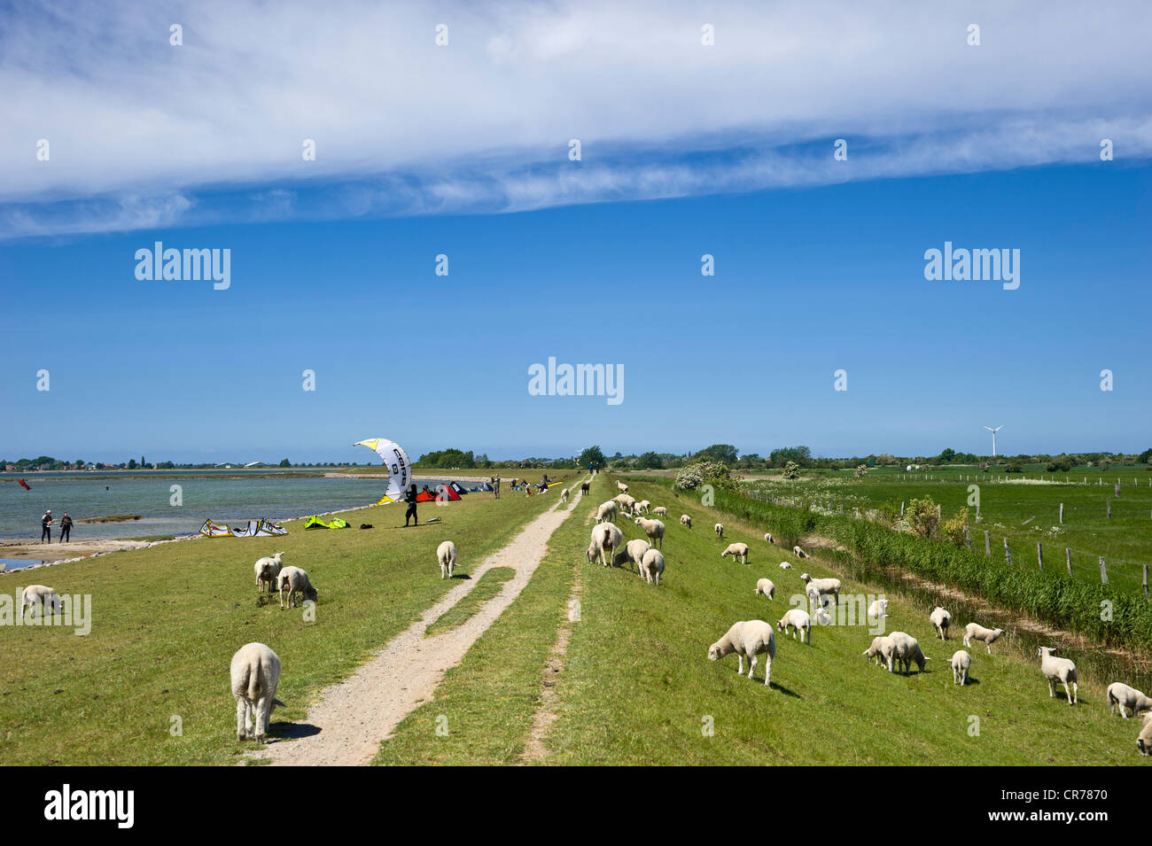 Flut Deich, Lemkenhafen, Fehmarn Insel, Ostsee, Schleswig-Holstein ...