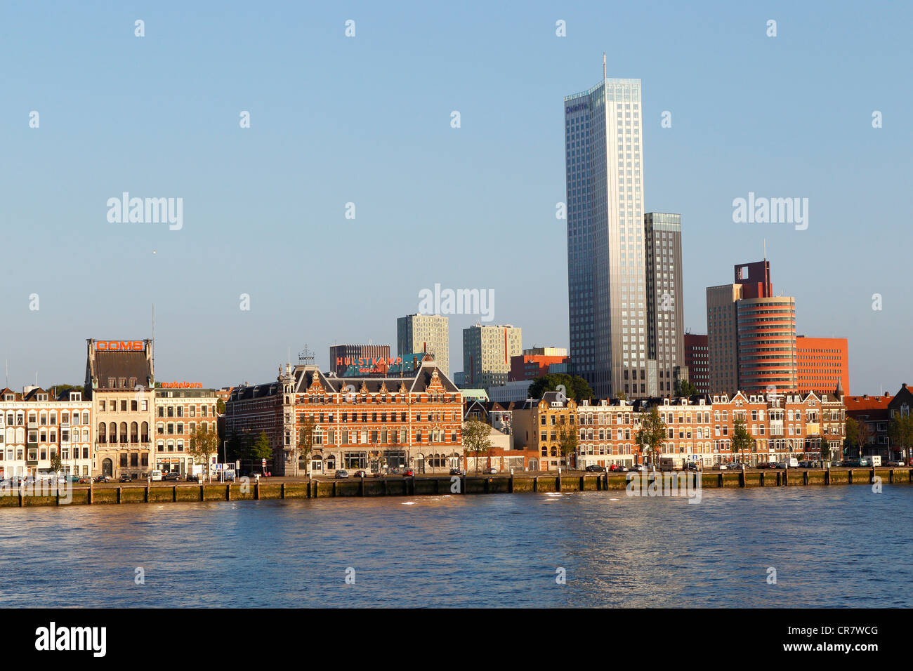 Ufer der Meuse oder Fluss Maas, schwim District, Kop van Zuid-Viertel ...