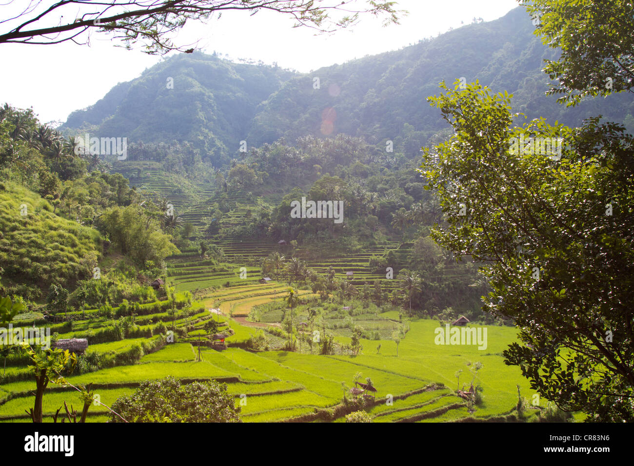 Bali landschaft -Fotos und -Bildmaterial in hoher Auflösung – Alamy