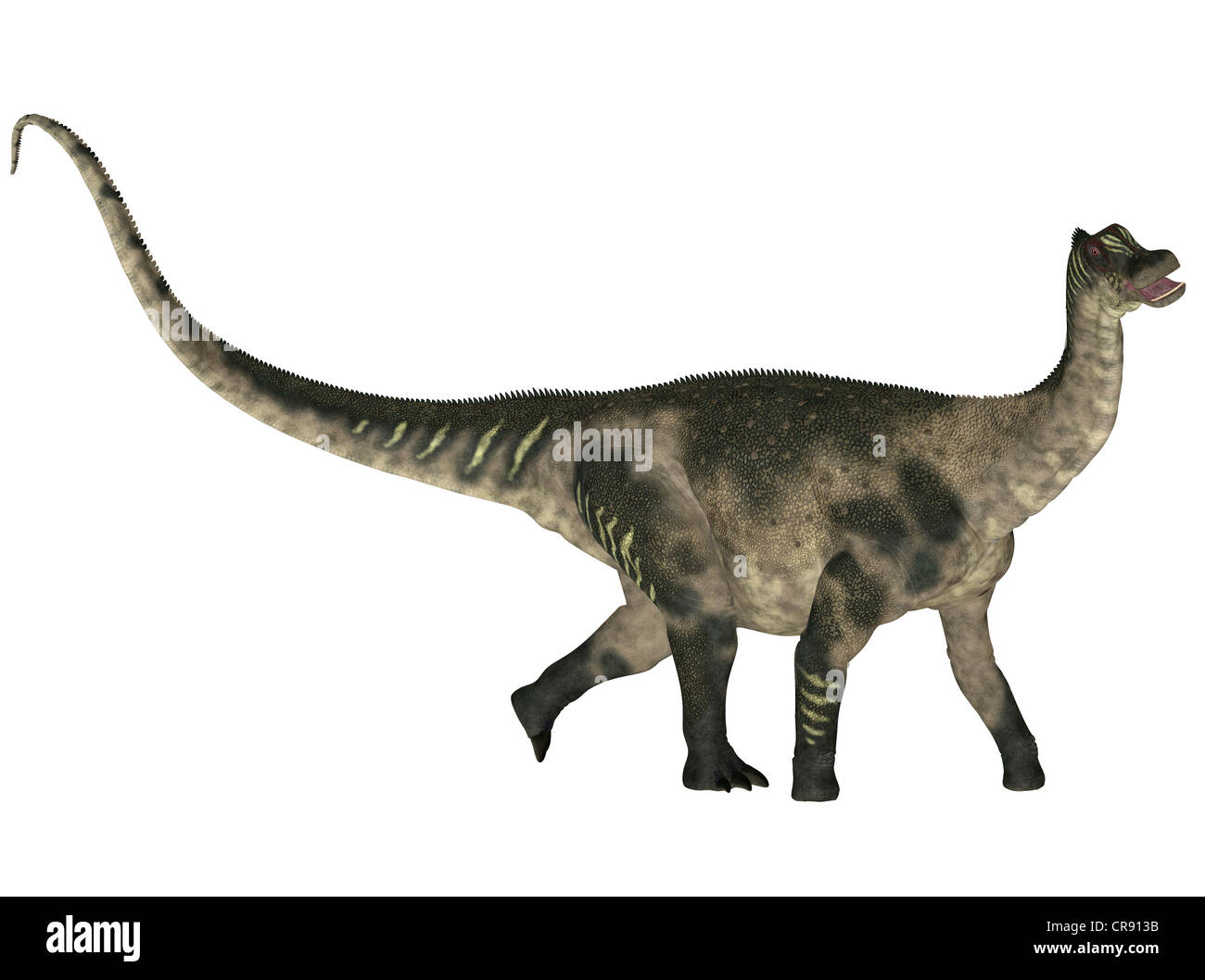 Antarctsaurus wichmannianus -Fotos und -Bildmaterial in hoher Auflösung ...