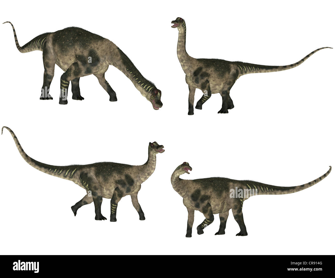 Beispiel für ein Paket von vier 4 Antarctosaurus mit verschiedenen ...