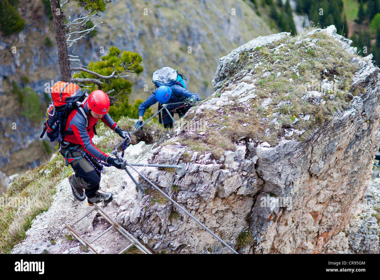 Bergsteiger auf die Stevia feste Seil Route im Langental Tal, Val ...