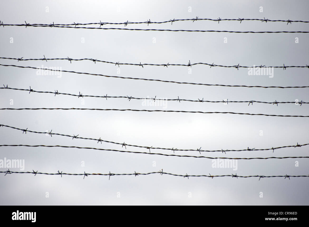 Barbed draht -Fotos und -Bildmaterial in hoher Auflösung – Alamy