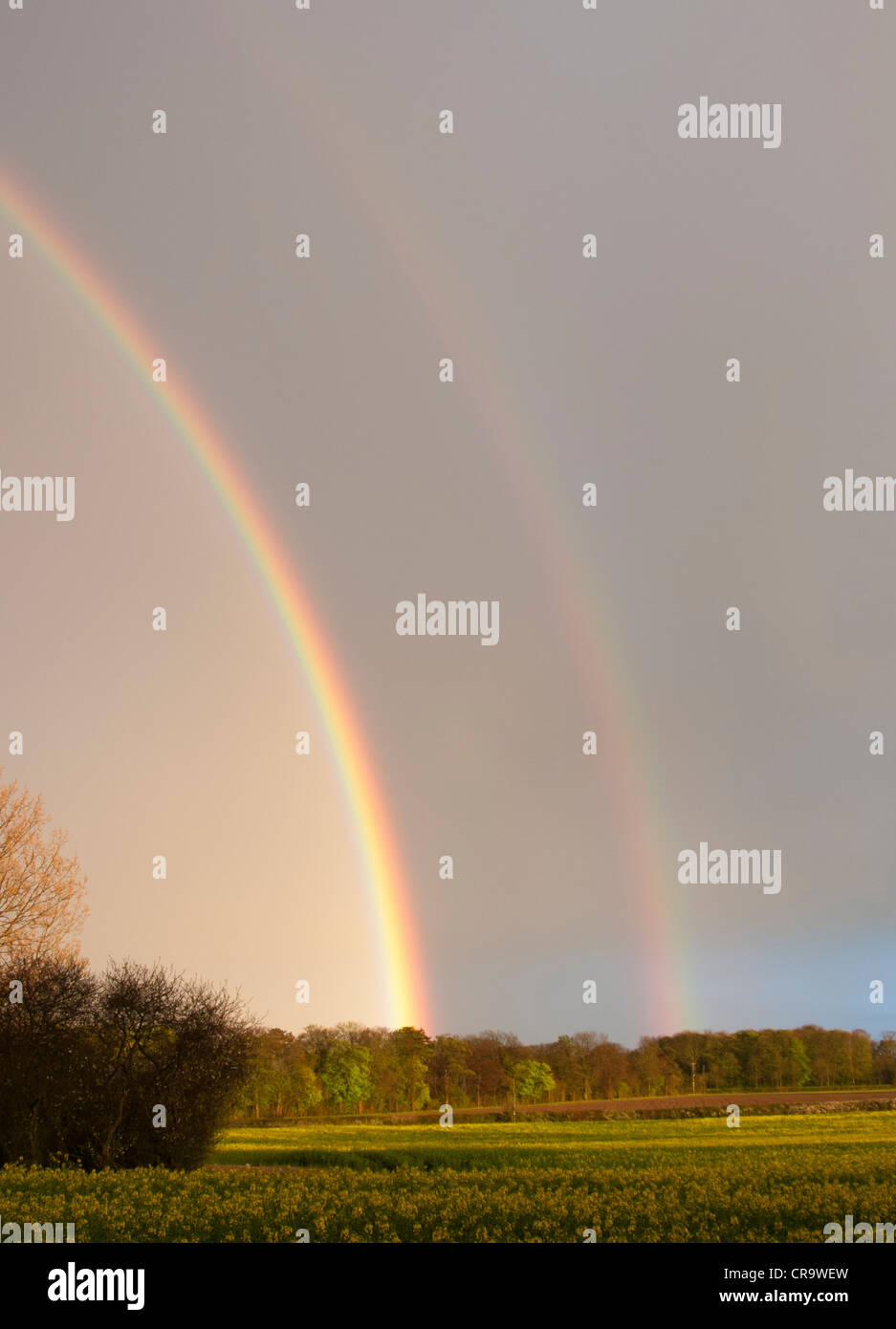 Regenbogen nach sturm -Fotos und -Bildmaterial in hoher Auflösung – Alamy
