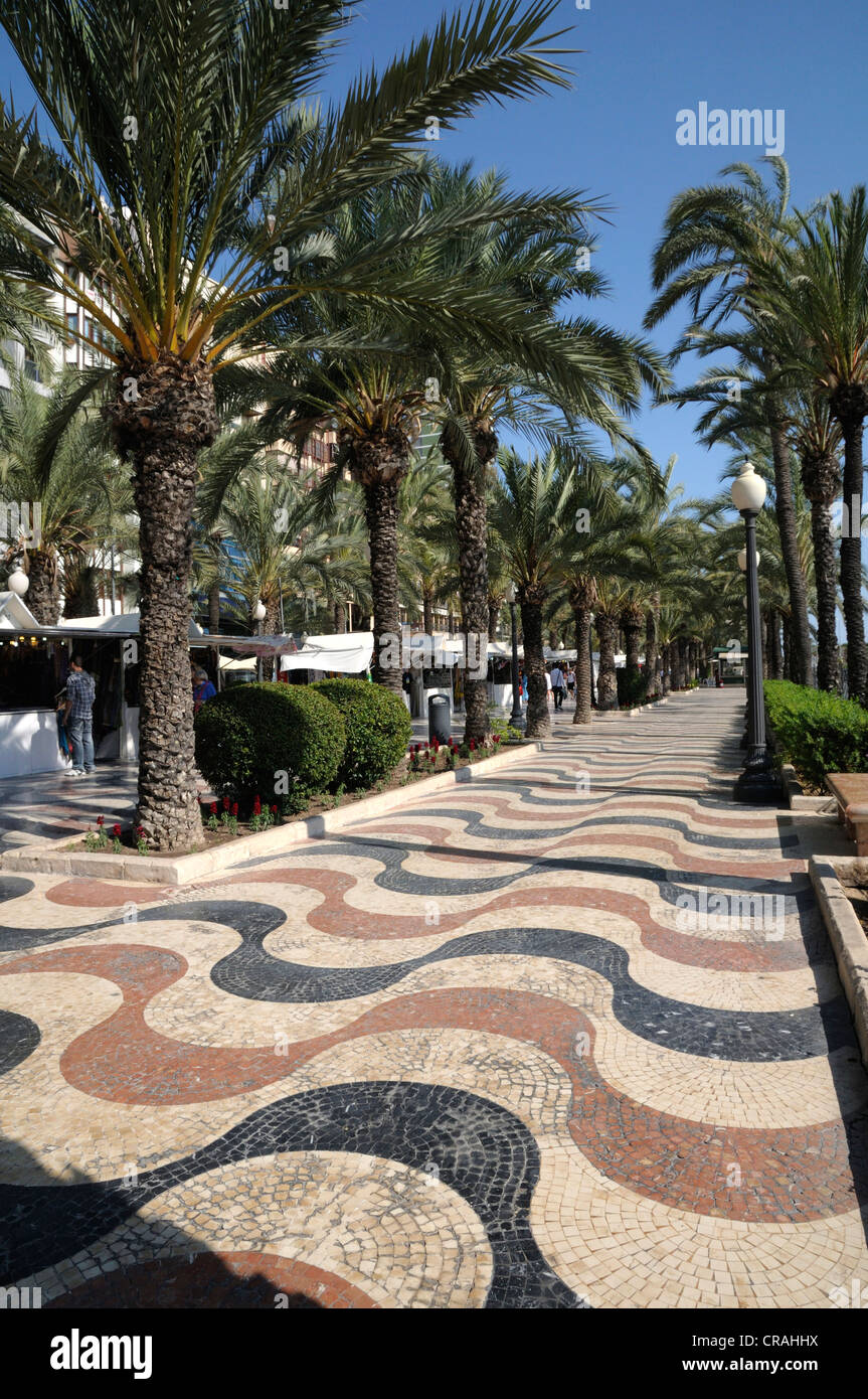Alicante promenade -Fotos und -Bildmaterial in hoher Auflösung – Alamy