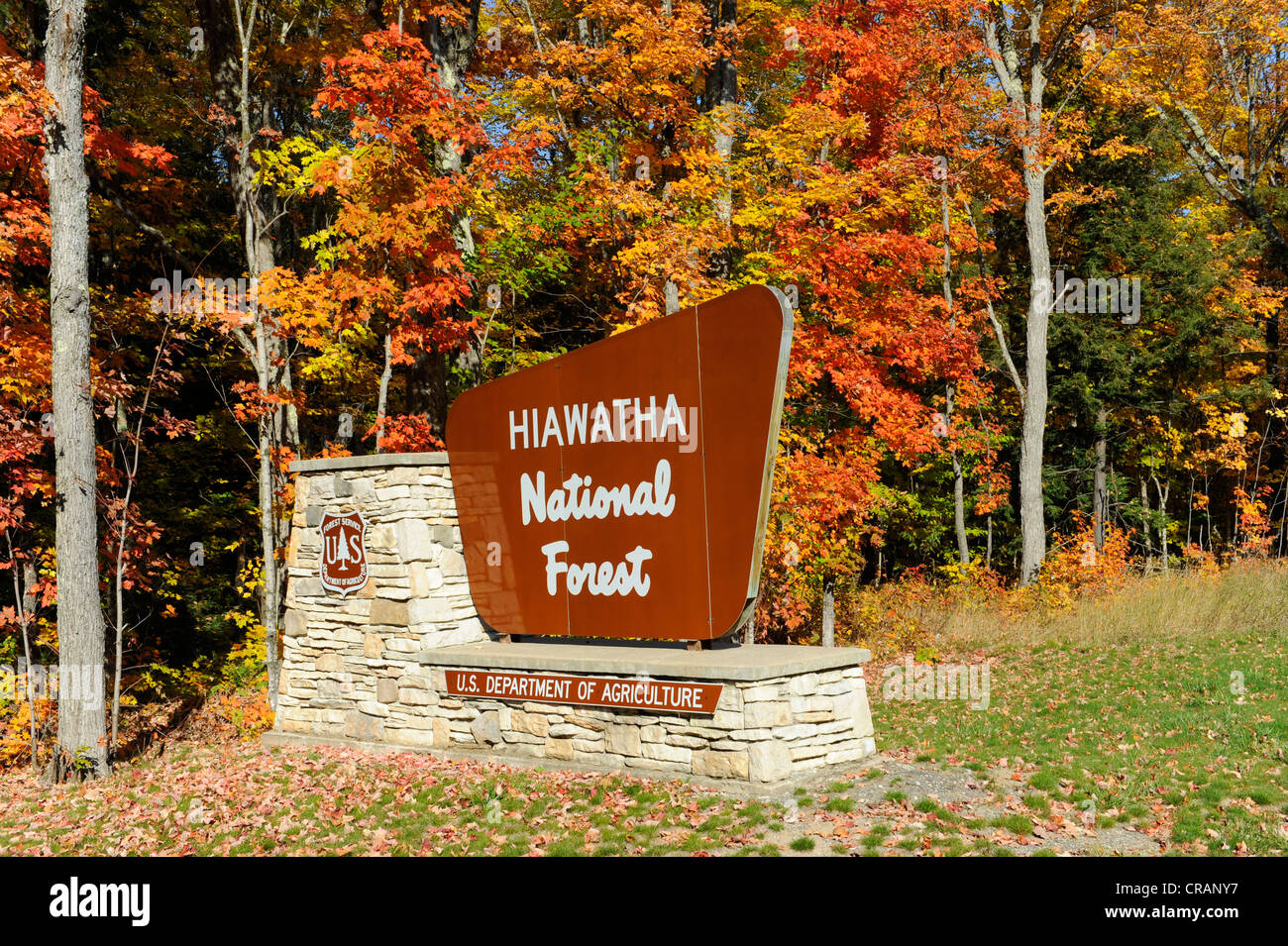 Michigan national forest -Fotos und -Bildmaterial in hoher Auflösung ...