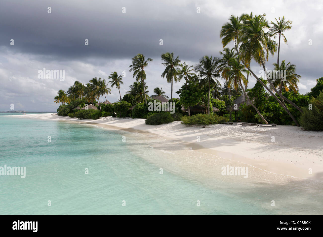 Palmen am Strand von Hilton Iru Fushi Resort & Spa, Noonu Atoll ...