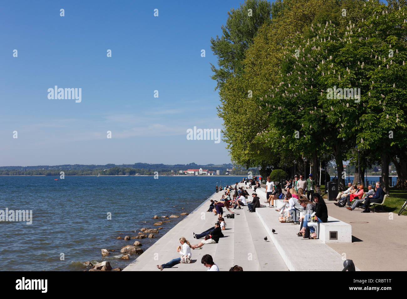 Promenade am Bodensee, Bregenz, Vorarlberg, Österreich, Europa ...